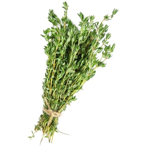 Bunch Of Thyme