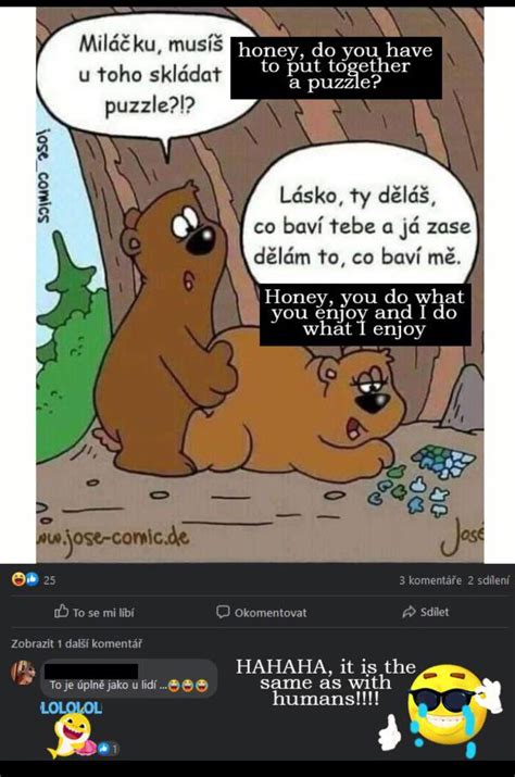 Straight Bear Sex Rarethestraightsok