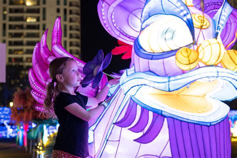 Imaginarium Lights Up San Diego With Magical Wonderland