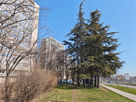 Xiaomi Ultra Vs Galaxy S Ultra The Most Extreme Ultra Flagships Phonearena