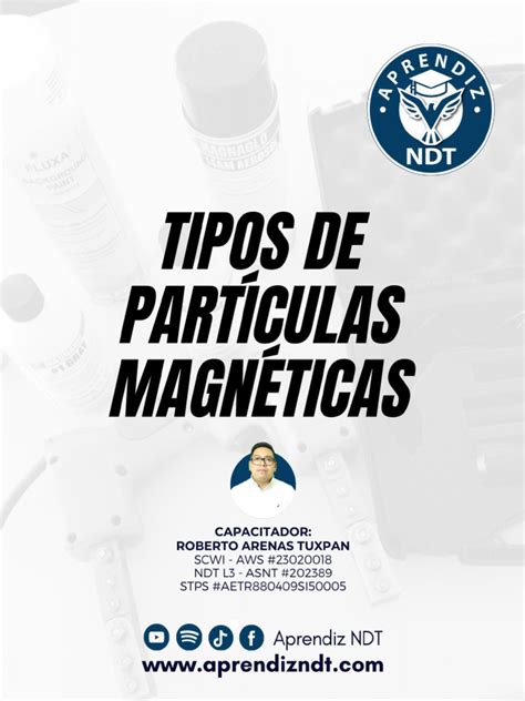 Tipos De Particulas Magneticas Pdf Corriente Eléctrica Campo