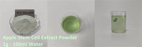 Apple Stem Cell Extract China Water Soluble Powder Extract Powder