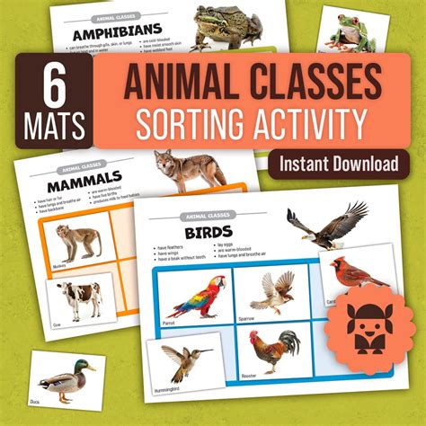 Animal Classification Sorting Activity Mats And Cards With Real Photos