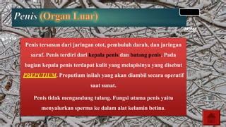 Ppt Mk Anatomi Sistem Reproduksipptx