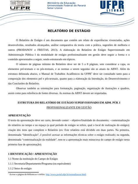 Guia Para Relatório De Estágio Em Adm Pdf