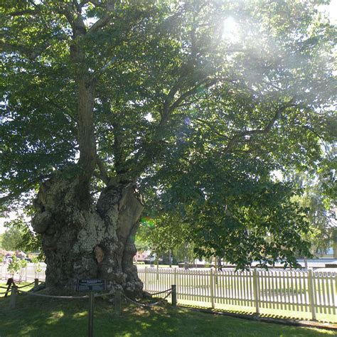 The Story Behind Pippi Longstocking Astrid Lindgren