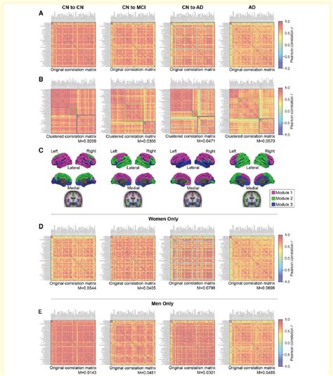 Fdg Pet Network And Modular Structure For Each Group A Original