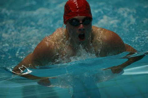 Csbb Swimming Carnival St Edwards College