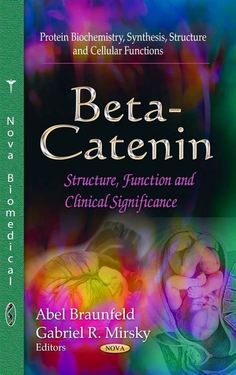 Beta Catenin Structure Function And Clinical Significance Nova
