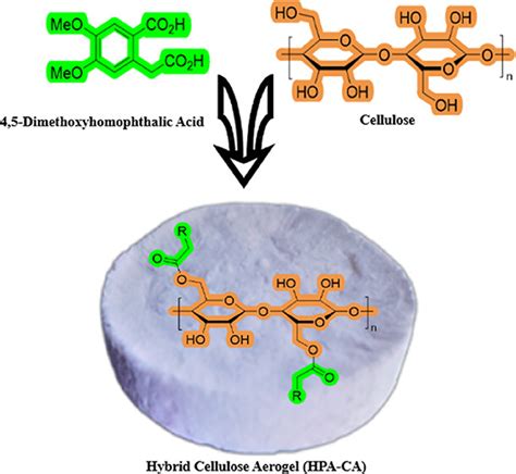 Cellulose Ester Based Aerogel Lightweight And Highly Water Absorbent