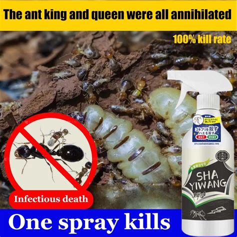 Kill all ant kings Termite killer spray 500ml Termite spray killing ...