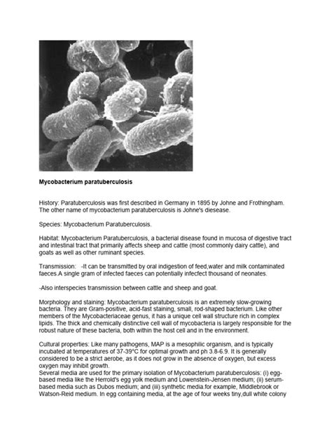 Mycobacterium Paratuberculosis Pdf Mycobacterium Bacteria