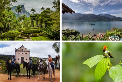 Travel To Brazil Knowmad Adventures
