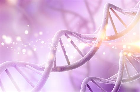 Tes Genomik Tujuan Jenis Dan Prosedur Halodoc