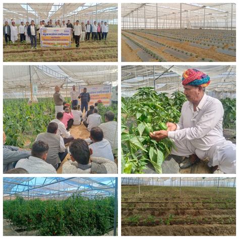 On February 7 2025 Ambuja Foundation Rabriyawas Conducted An Exposure Visit To Basedi