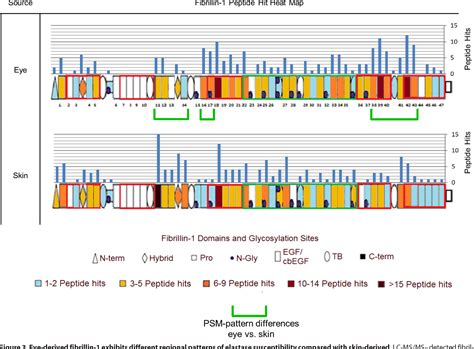 Figure 1 From Structural And Compositional Diversity Of Fibrillin