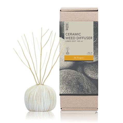 Ceramic Reed Diffuser 100ml Essential Oil Bsab