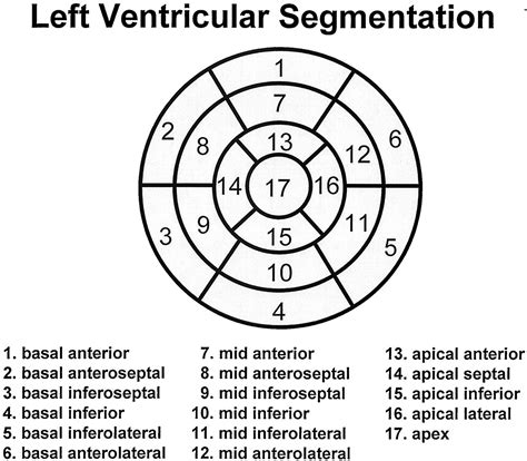 Standardized Myocardial Segmentation And Nomenclature For Tomographic