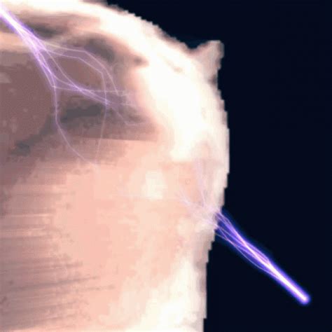 Cat Bobbing Head S