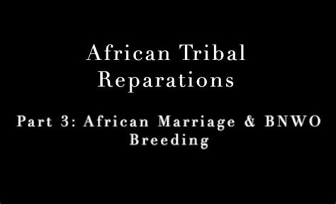 African Tribal Reparations Part 3 African Marriage And Bnwo