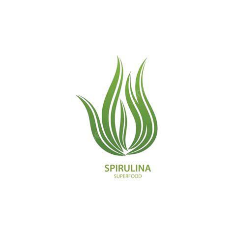 Espirulina Hoja De Algas Marinas Logo Ilustración Vegana Hierba Verde
