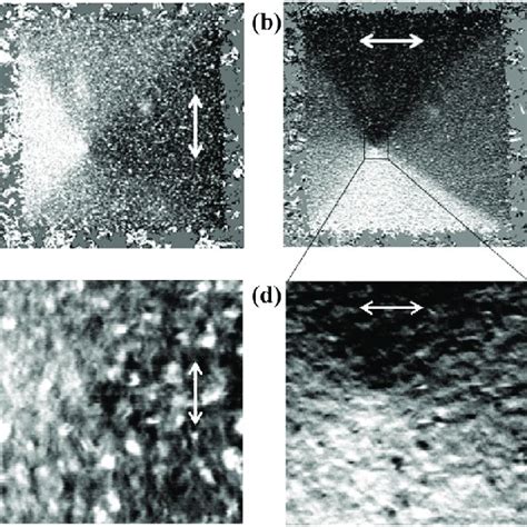 A Schematic Of Standard 4 Quadrant Dpc Detector And B A Pixelated Download Scientific