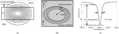 Figure 1 From Label Free Biosensor Arrays Based On Silicon Ring