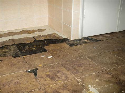 Tile And Grout Cleaning And Repair The Grout Medic