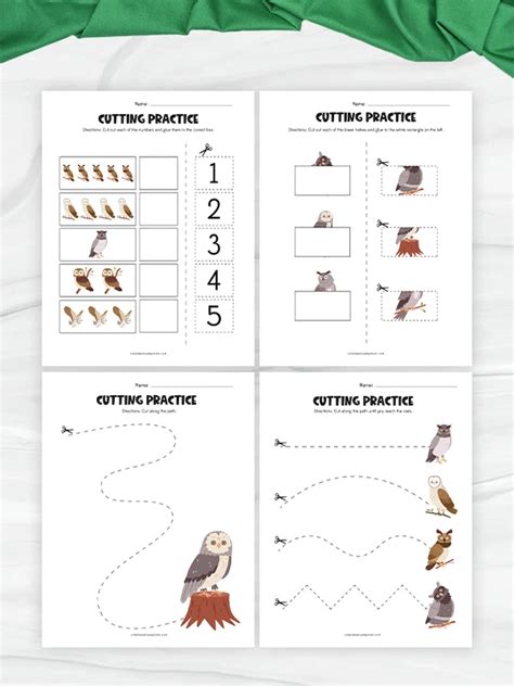 Owl Cutting Practice Worksheets Free Printables