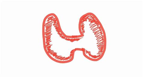 Subclinical Hypothyroidism In Adults 65 Gt Health
