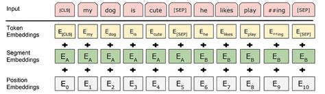 Bert Input Embedding