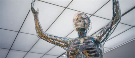 Whats Another Name For The Acoustic Nerve