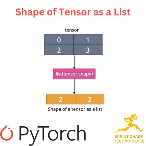 Getting The Shape Of A Tensor As A List Of Integers In Pytorch