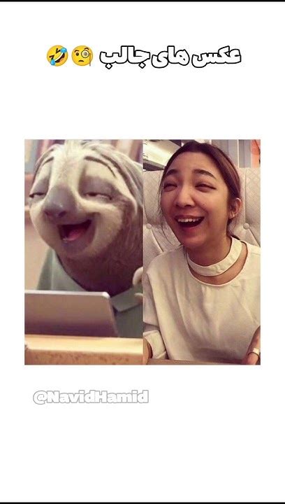 کله یا کیوی؟ 👀🤨 Youtube