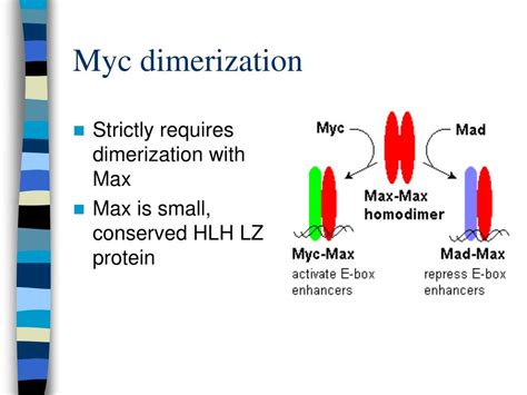 Ppt Myc Powerpoint Presentation Free Download Id1028674