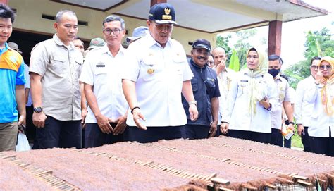 Berita Golkar Arinal Djunaidi Ingin Lampung Miliki Lebih Banyak