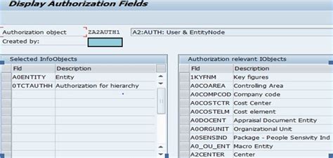 How To Implement And Mantain Mass Authorization In S Sap Community