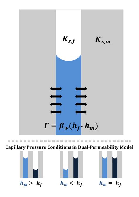 2 Schematic Of The Moisture Transfer Model And Capillary Pressure