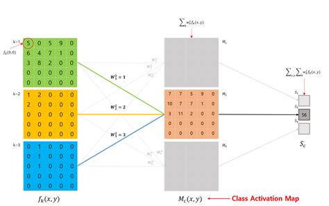 Paper Review Class Activation Map Ground Truth