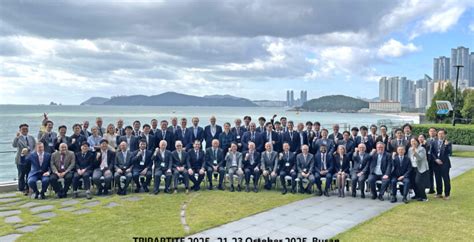 Ics Publications Releases Sixth Edition Of ‘guidelines On The Application Of The Imo