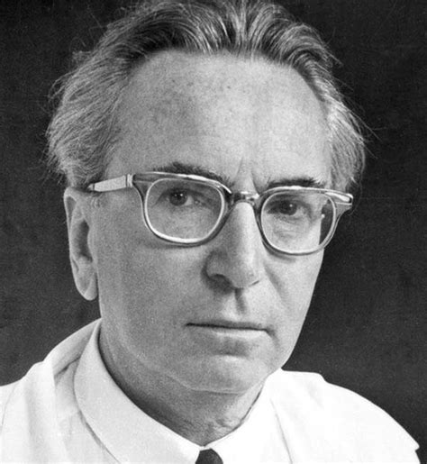 Viktor Frankl Biography Life Of Austrian Psychologist