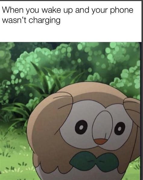 9 Pokémon Memes And Pokemon Memes Ideas To Save Today Pokemon