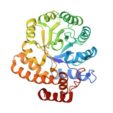 Rcsb Pdb 4imc Crystal Structure Of Pasteurella Multocida N Acetyl D