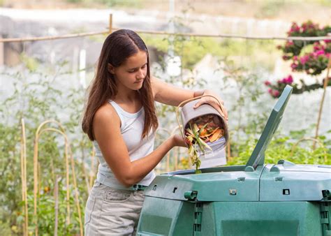 Postable Packaging Coalition Backed By £12m Ukri