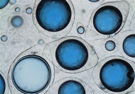 Environmentally Friendly Microcapsules Made From Biopolymers