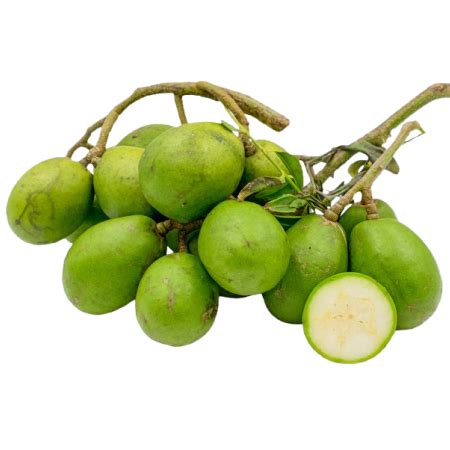 Organic Ambarella Jack Farm Asean