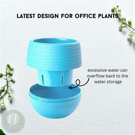 Mini Office Succulent Plant Pot Pasu Bunga Mini 7cm Diameter Tumbuhan Hiasan 办公室多肉植物迷你花盆