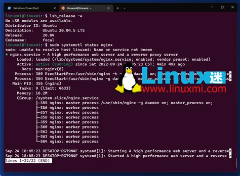 wsl还是标准linux发行版？windows系统上使用linux的最佳方案 linux php中文网