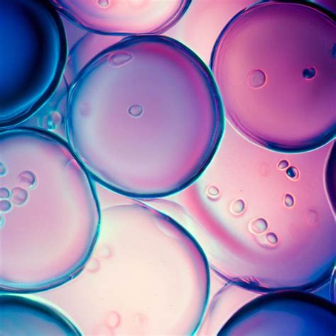 Mcq Instruments On Linkedin Boost Insect Cell Cultures Experimentation By Modifying Conditions