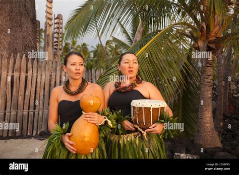 Traditional Hawaiian Hula Dancers Model Released Holding Drum And Ipu